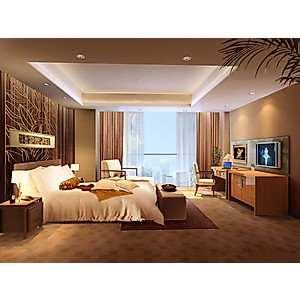 Rayhoo 16.4ft/5m Flexible LED Light Strip 300 Units 5630 LEDs Waterproof DC12V 60W Light Strips, LED Tape(6000K White Light)