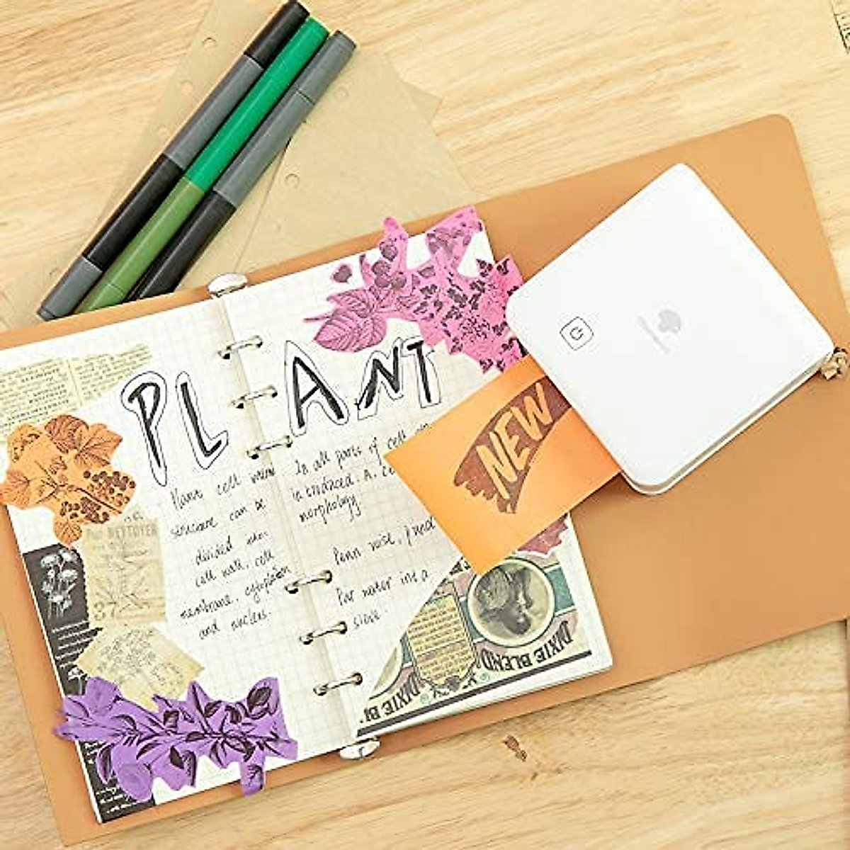 Phomemo M02 Pro Pocket Printer - with 3 Rolls Transparent Gold Paper， Compatible with iOS + Android for Plan Journal, Study Notes, Art Creation, Work, Gift