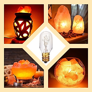 Moflekja Himalayan Salt Lamp Bulbs, T20 25W Original Replacement Long Lasting Incandescent Candelabra Light Bulbs E12 Socket, 120V 2700K Warm White, Pack of 12