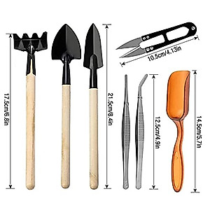 Snow Shovels for Snow Removal - Shovel Trimming Tools Succulent 12-Piece Mini Soils Seedling Scissors Set Gardening Transplanter Brush of Potted Patio & Garden