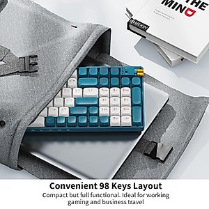 ROYALAXE X ProtoArc R100 Wireless Mechanical Keyboard, Hot-swappable Wired/Bluetooth 5.0/2.4G Wireless Keyboard w/RGB Backlit for Windows & Mac, PBT Keycaps, Multi-Device, Gateron G Yellow Pro Switch