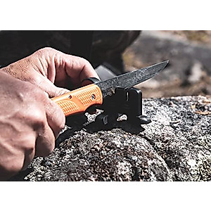 OUTDOOR EDGE Fish & Bone - Folding Fillet Knife with 5.0" 440A Stainless Steel Blade for Fish and processing big game - Pocket Clip (Orange)