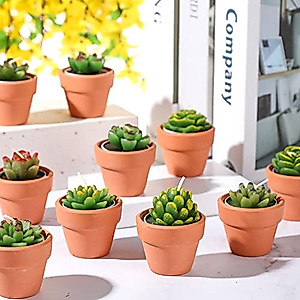 18 Pcs Succulent Cactus Tealight Candles Handmade Tea Lights Baby Shower Plant Candle Gift with Mini Terracotta Clay Candle Holders for Birthday Christmas Wedding Party Home Decoration (Cute)