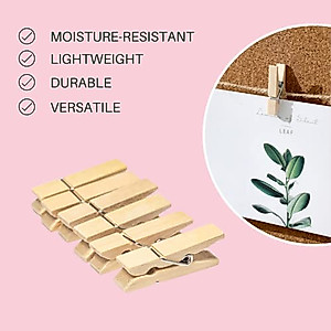 Small Clothes Pin, Mini Clothespins for Crafts,100 PCS Mini Clothes Pins Wooden with Storage Bag,Small Clothes Pins for Photos,Crafts,Hanging Clothes,Baby Shower,Display Artwork