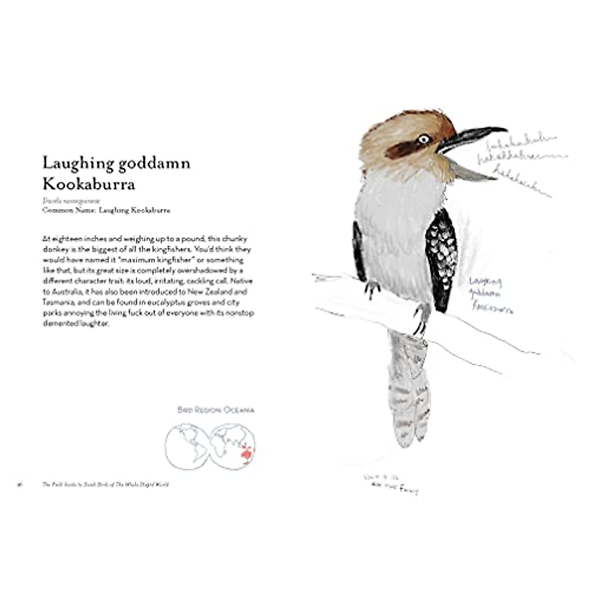 The Field Guide to Dumb Birds of the Whole Stupid World