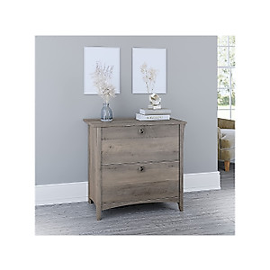 Bush Furniture Salinas Lateral 2 Cabinet Filing Drawer | Home Office Storage Organizer, Driftwood Gray