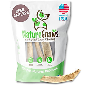 Nature Gnaws USA Deer Antlers for Dogs 4-7" (5 Count) - Mix of Split and Whole Pieces - Long Lasting for Small and Medium Breeds - Natural Dog Chew Bones