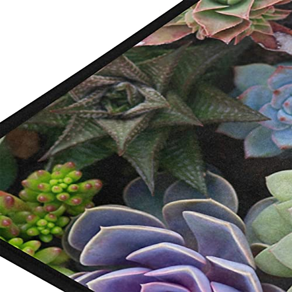 KFBE Succulents Plant Area Rugs 39x20 inch Carpet for Kitchen, Bathroom, Laundry Room, Bedroom (20809835)