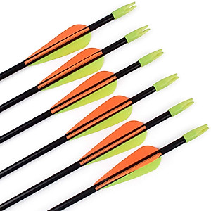 SHENG-RUI Archery Youth 24 26 Inch Fiberglass Archery Targeting Arrows for Youth Practise Recurvebow Compound Bow Shooting