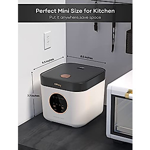Rice Cooker, Mini Rice Cooker with Keep Warm, 3 Cups (Uncooked), Smart Fuzzy Logic, 24-H Delay Timer, Nonstick Inner Pot, for Soft White Rice, Brown Rice, Sushi, Porridge (Small)