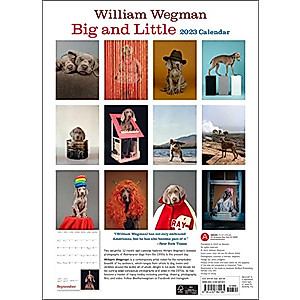 William Wegman Big and Little 2023 Wall Calendar