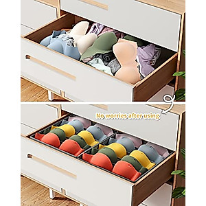 DIMJ 2 Pack Bra Drawer Organizers, 5 Cells Underwear Organizer Drawer Bra with Divider Zip Storage Cabinet Organizer Fabric Box for Bra, Socks, Ties, Belts (Grey)