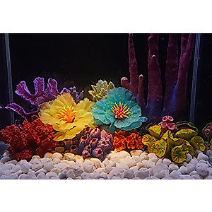 Danmu 1Pc of Polyresin Coral Ornaments, Aquarium Coral Decor for Fish Tank Aquarium Decoration 6 2/5" x 5 1/2" x 2 7/10"