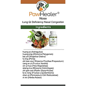 Deep-Croupy Cough - Lung Qi Support: Kidney Yang Deficiency-100 Grams-Herbal Cough Powder-Dogs & Pets