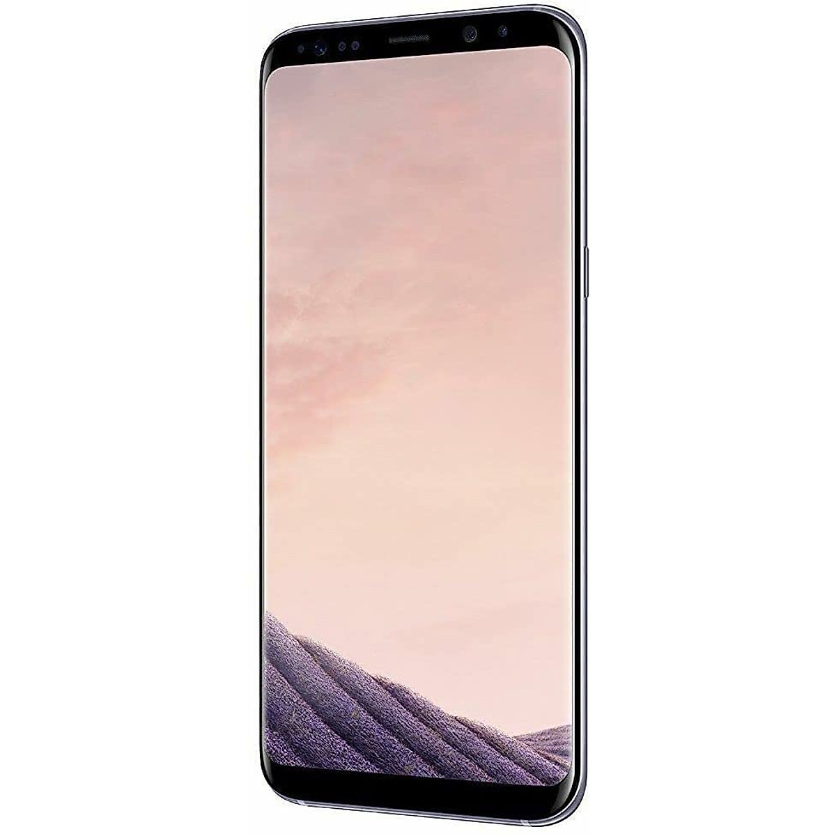 Samsung Galaxy S8 Plus 64GB Orchid Gray AT&T
