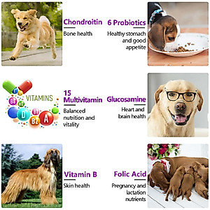 15-in-1 Dog Multivitamin Supplements with Glucosamine & Probiotics，Natural Daily Vitamins Chews for Dogs,Pet Health Support-Skin-Immunity-Gut Digestion-Joint-Heart,150 Pcs-Duck Flavor