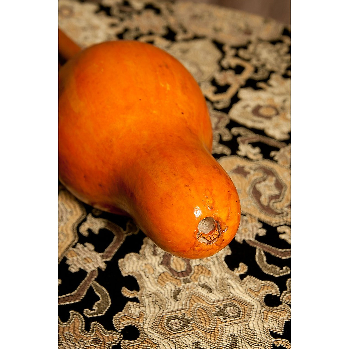 Satnam Hand Crafted (Sapera Been) 16" Snake Charmer Flute Indian Pungi Snake Catcher