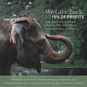 Happy Trunks Harem Pants for Women with Pockets (S-XXL) - Boho Hippie Yoga Pants, Beach Lounge Pants, Comfy Bohemian Clothes for Women (Small, Red Honeycomb)