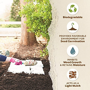 BloomingBulb Seed Mat - Easy to Plant and Grow Garden Seeds - Creates Fragrant, Vibrant Flower Garden – Customizable Flower Beds- Creeping Thyme Ground Cover