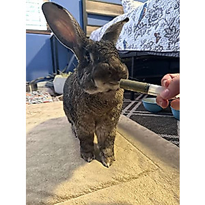 Sherwood Pet Health Rabbit Emergency Kit (Small) with Timothy Recovery Food and Appetite Restore in Stay-Fresh Packets