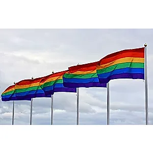 Rainbow Pride Flag 6 Stripes 3x5ft - Staont Flag Vivid Color and UV Fade Resistant - Canvas Header and Brass Grommets (Rainbow Flag 3x5ft (1PACK))