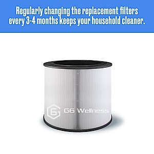 G6 Wellness Replacement H13 True HEPA Filter Compatible with LG PuriCare 360 Air Purifiers AS560DWR0
