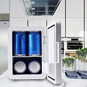 ZLPTEAM Mini Fridge 4 Liter, Mirror Mini Fridge, Skin Care Fridge, Beauty Fridge