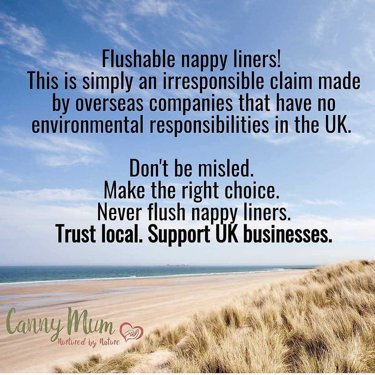 Real Nappy Bamboo Disposable Liners, 200 Count, Unisex