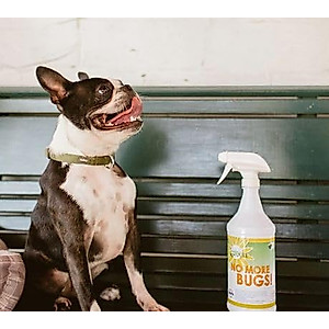 No More Bugs! Naturally Green Products Home Kit Safe for You and Your Pets!