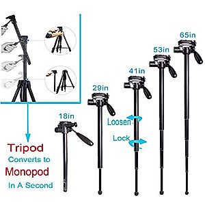 Regetek 73" Camera Tripod Travel Monopod (Aluminum Professional Video Camera Mount) Adjustable Stand with Flexible Head for Canon Nikon DV DSLR Camcorder Webcam Gopro cam& Carry Bag & Cellphone Mount