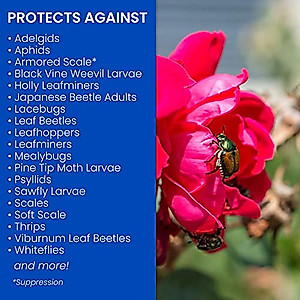 BioAdvanced 2-in-1 Systemic Rose and Flower Care II, Granules, 5 lb with BioAdvanced Rose and Flower Insect Killer, Ready-to-Use, 24 oz