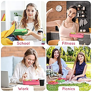 TIME4DEALS Bento Box for Kids 44oz 4 Compartment Lunch Container with Cutlery, Bento Lunch Box Containers for Kid/Adult/Toddler, Leak Proof, Microwave/Dishwasher/Refrigerator Safe, BPA Free (Pink)