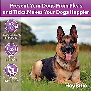 HEYISME Flea and Tick Prevention for Dogs Chewables, Natural Dog Flea and Tick Control Supplement, Flea Treatment for Dogs, Oral Flea and Tick Chews Treats for All Breeds and Ages (Chicken, 120 Chews)