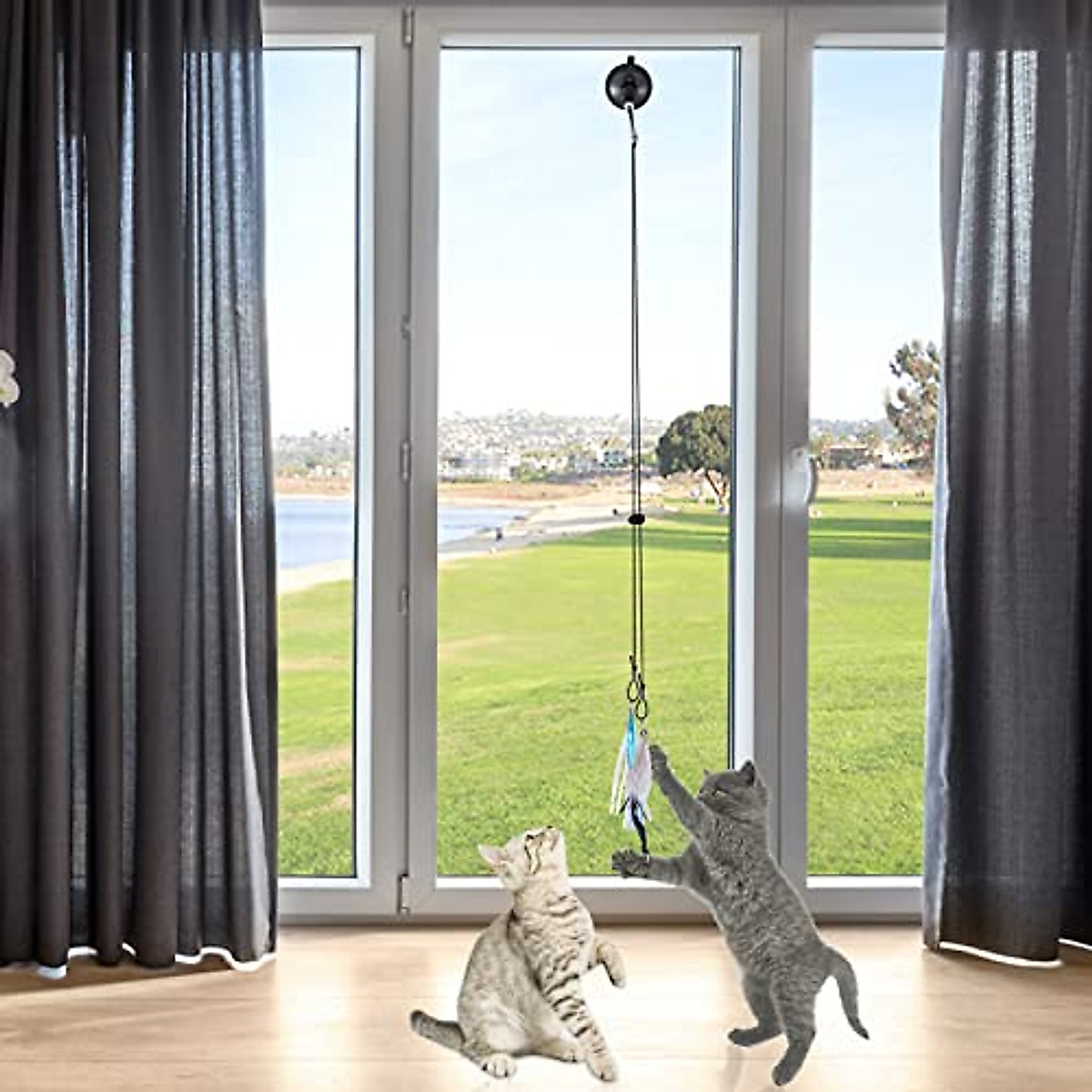 MEWTOGO Hanging Door Cat Toy, Retractable Interactive Cat Feather Toys with Super Suction Cup and 5 Replaceable Feathers, Suction Window Cat Teaser Toy for Indoor Cats Kitten Play Chase Exercise