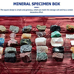 Cabilock Clear Specimen Display Cases 12pcs Plastic Mineral Specimen Storage Cases Square Sample Displaying Boxes Jewelry Organizer Tray