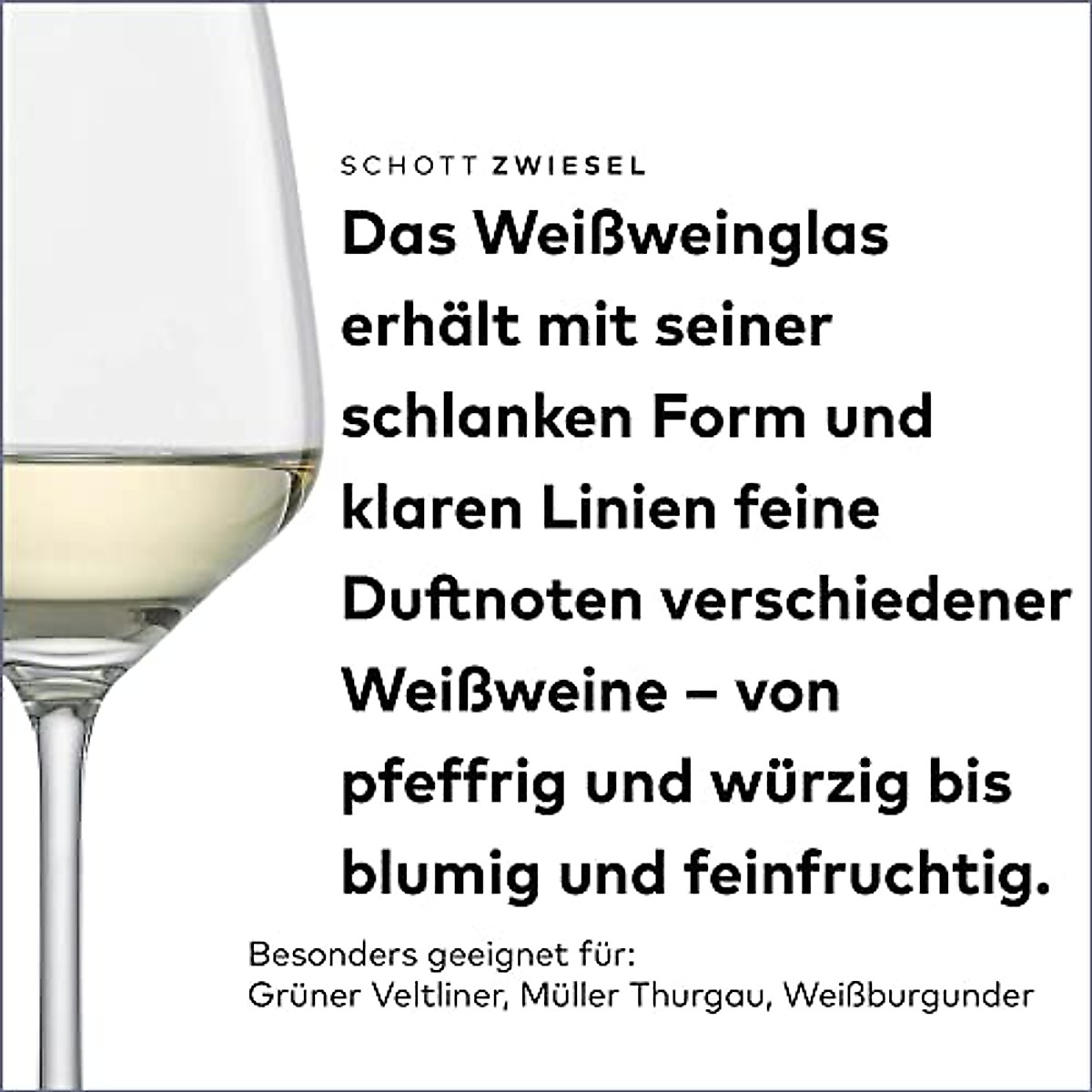 Schott Zwiesel 115670 Wine Glass, Clear, 12.8 fl oz (356 ml), TASTE White Wine, Pack of 6