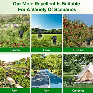 Ultrasonic Mole Repellent Outdoor, 2024 Upgrade Mole Repellent Solar-Powered for Lawn Garden Yard, Mole and Vole Repellent Waterproof, Effectively Repels Gophers Snake Chipmunks Groundhogs, 4P-Black