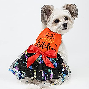 Malier Halloween Dog Costumes, I Smell Children Halloween Dog Tulle Dress Dog Clothes, Holiday Theme Costume Dress with Pumpkin Bat for Puppy Small Dogs and Cats (Small, Orange+Black)
