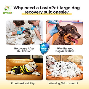 LovinPet Pitbull Recovery Shirt - Bodysuit Onesie for Shedding Skin Disease Pet Pajamas Dog Anti Licking Snugly Suit Dog Bodysuit for Abdominal Wound After Surgery,Yellow/Black Design,XL