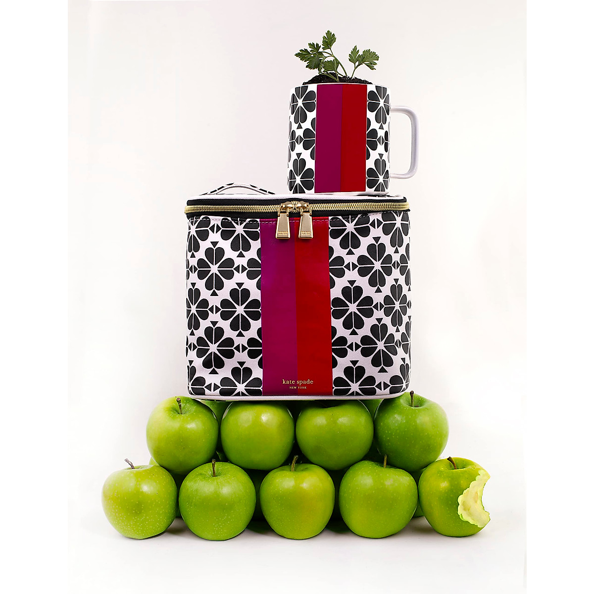 Kate Spade New York Insulated Lunch Tote, Small Lunch Cooler, Cute Lunch Bag for Women, Floral Thermal Bag with Double Zipper Close and Carrying Handle, Spade Flower Stripe