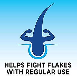 Amazon Brand - Solimo 2-in-1 Dandruff Shampoo & Conditioner, Gentle and pH Balanced, 14.2 Fl Oz (Pack of 6)