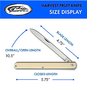 SZCO Supplies 210970 Alabaster Harvest Fruit Folding Knife, Stainless Steel