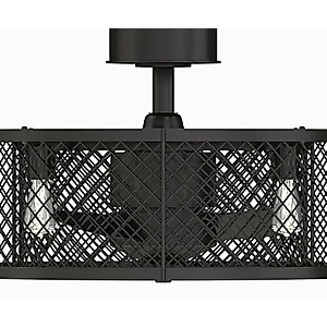 Fanimation Studio Collection LP8350BLAZ Vintere Caged Ceiling Fan with LED Light Kit, 20 Inch, Aged Bronze