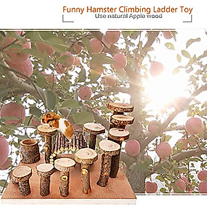 Wooden Hamster Platform Toy Chinchilla Activity Playground Stand Ladder Guinea Pigs Hideout Set Bridge Ramps Chew Toys for Mouse Dwarf Hamster Gerbil Rat Sugar Glider Syrian Hamster Small Animals