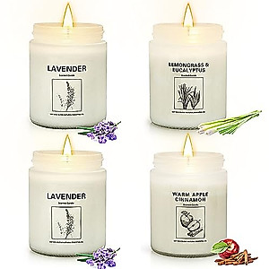 Candles for Home Scented, 4 Pack Scented Candles Gifts for Women 28 oz 200 Hour Long Lasting Natural Soy Candles, Lavender, Lemongrass & Eucalyptus, Apple Cinnamon 3 scents