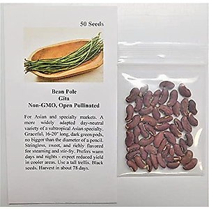 David's Garden Seeds Bean Pole Yard Long Gita FBA-00035 (Green) 50 Non-GMO, Heirloom Seeds