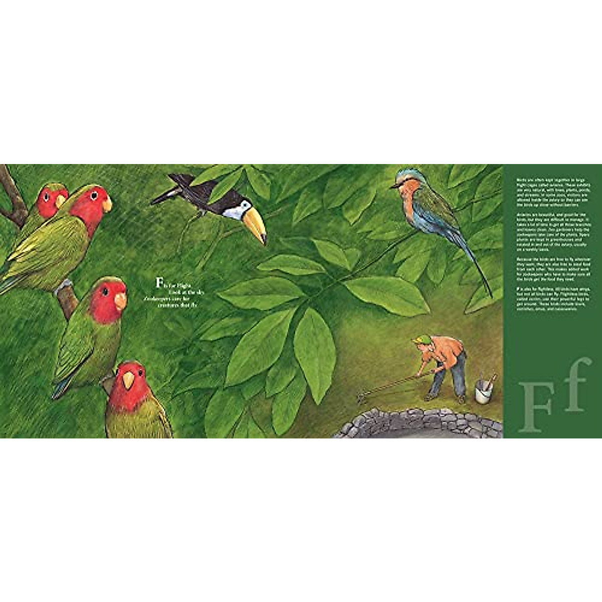 Z Is for Zookeeper: A Zoo Alphabet (Science Alphabet)
