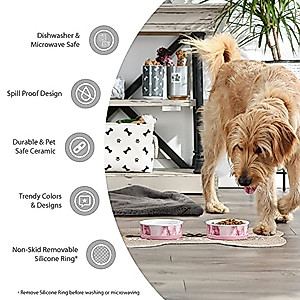 Bone Dry Paw & Patch Ceramic Pet Collection, Medium Set, 6x2", Gray, 2 Piece