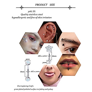 Vsnnsns 16G Rook Daith Piercing Jewelry Stainless Steel 8mm Curved Barbell Eyebrow Rings Helix Tragus Belly Lip Rings CZ Piercing Jewelry Cartilage Daith Rook Earrings for Women Men 12pcs Silve