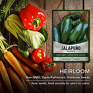 Jalapeno Pepper Seeds for Planting Heirloom Non-GMO Jalapeno Peppers Plant Seeds for Home Garden Vegetables Makes a Great Gift for Gardeners by Gardeners Basics